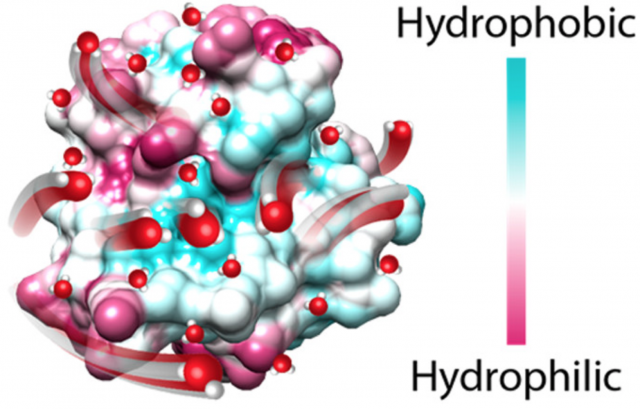 Role of Hydration Water in Molecular Recognition | Han Research Group ... Role of Hydration Water in Molecular Recognition | Han Research Group ...